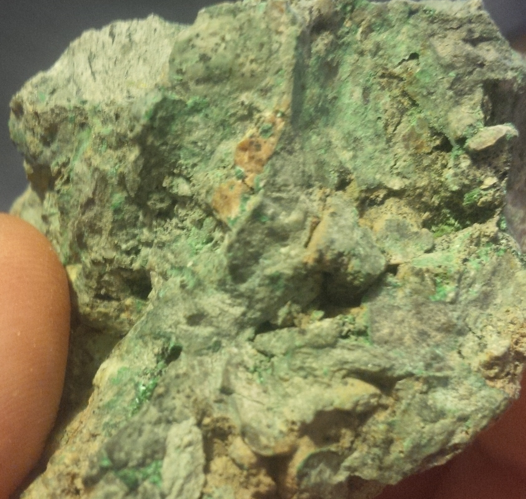 Goshen Copper | Leaf and Stone Resonance Services Ltd.